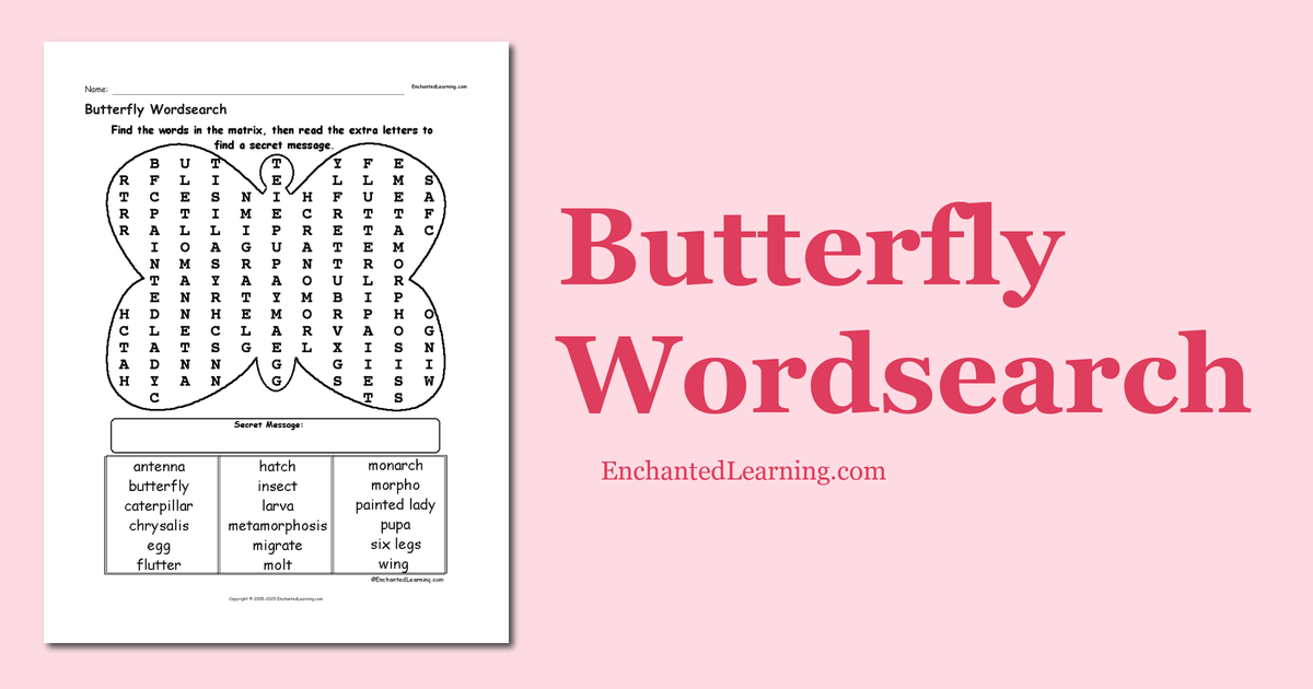 Butterfly Wordsearch - Enchanted Learning