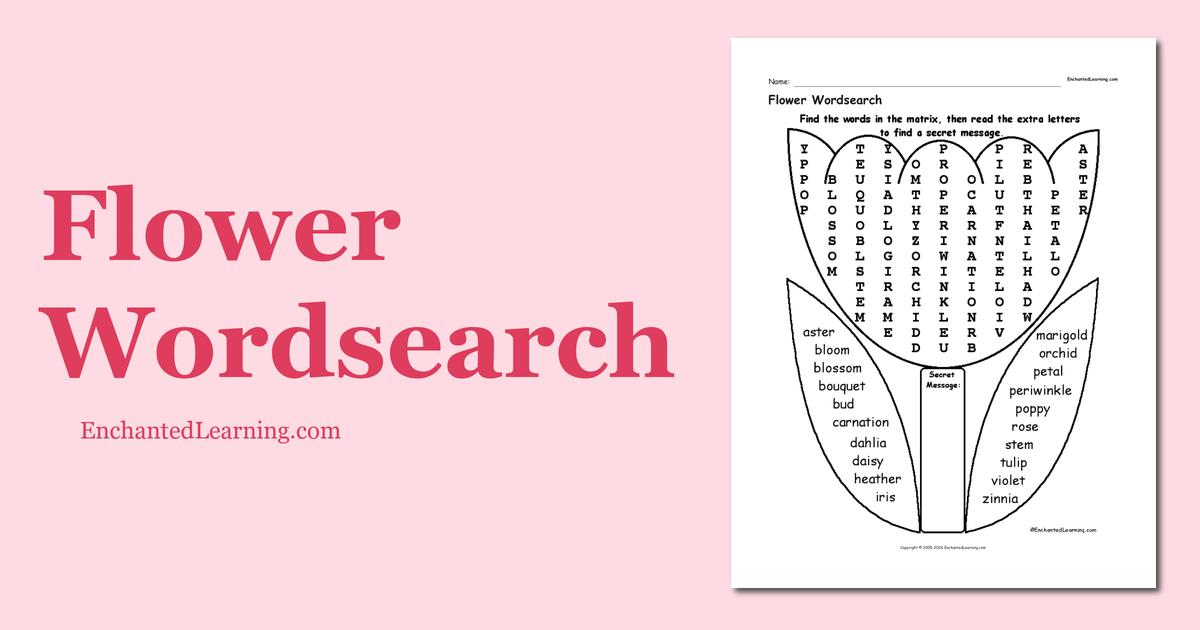 Flower Wordsearch - Enchanted Learning