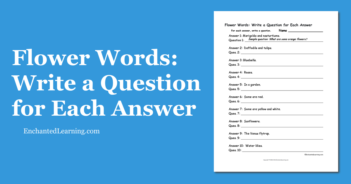 Flower Words: Write a Question for Each Answer - Enchanted Learning